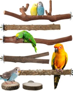 bissap bird perch stand 7pcs, natural grape wood pole standing parrot cage branch paw grinding fork parakeet platform hammock for conures budgies finches cockatiels small birds exercise training