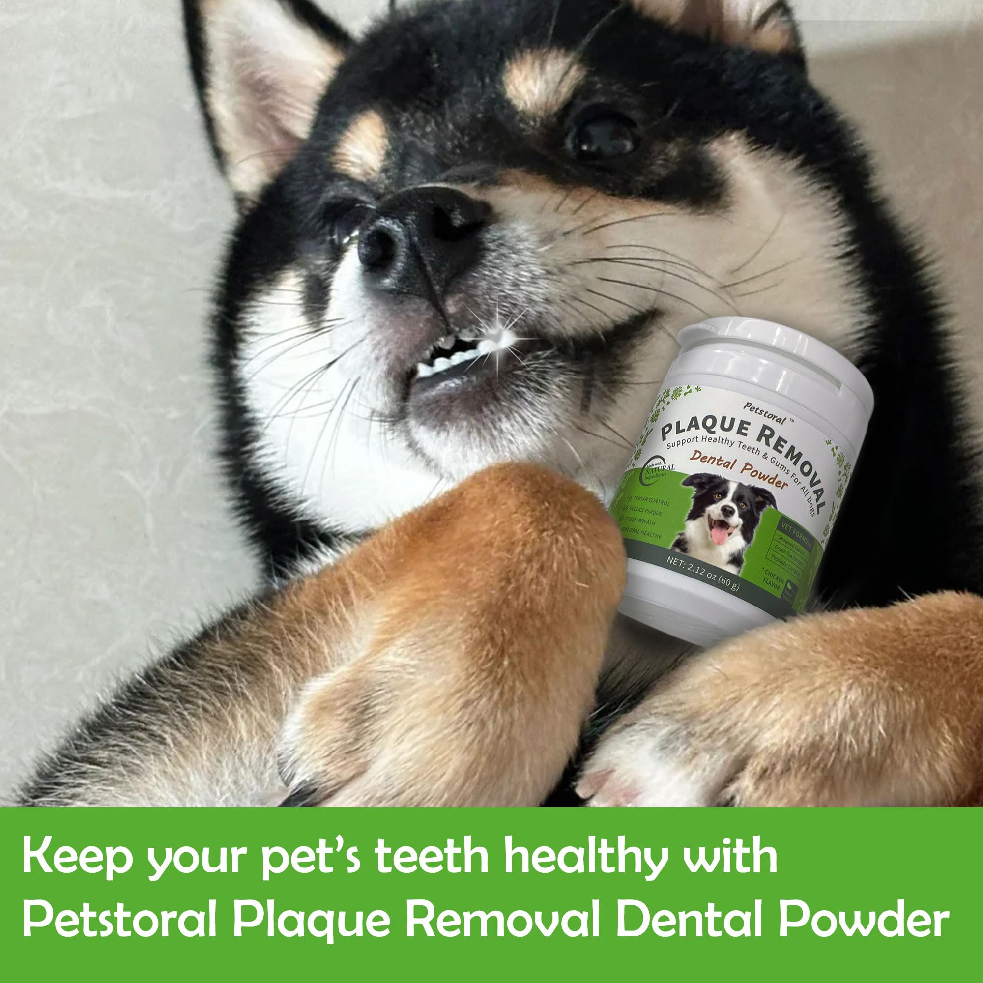 Petstoral Plaque Removal Natural Dental Powder - Dog Dental Care and Bad Breath Treatment, Dog Teeth Cleaning Powder for Healthy Teeth & Gums for All Dogs - 60g