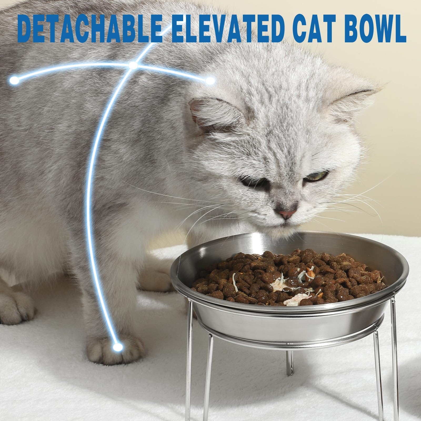 Elevated Cat Bowls Stainless Steel, 5.9 Inch Wide Raised Cat Bowls with Metal Stand Whisker Friendly, 2 Pack Anit-Vomiting Elevated Cat Food and Water Bowl Set for Cats, Kittens and Small Dogs