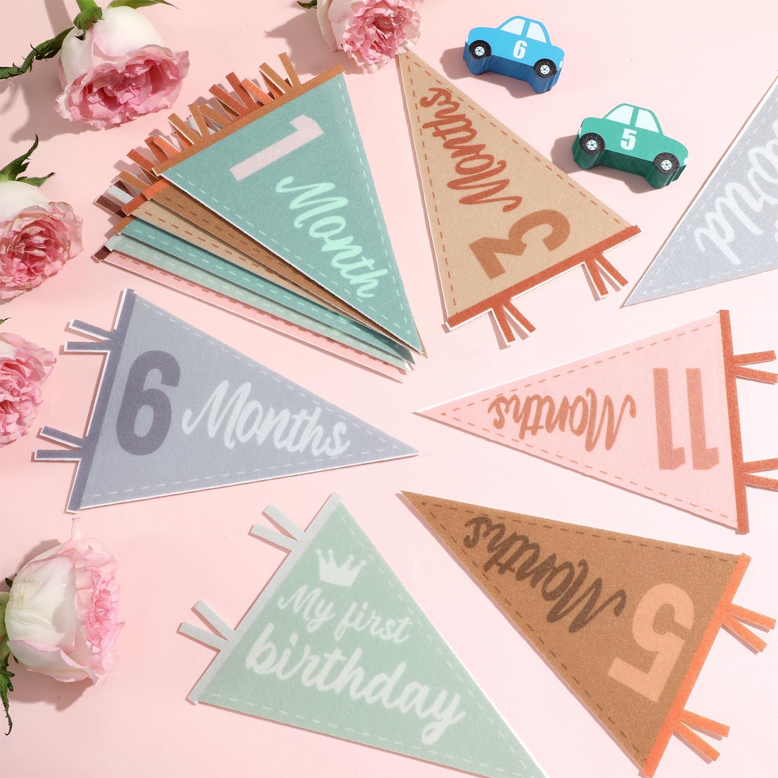 14PCS Baby Felt Pennant Milestone Signs Monthly Milestone Pennant Triangle Banner Age Milestone Flag Signs Newborn Party Supplies for Boy Girl Baby Photos and First Year Birthday Baby Shower Decor