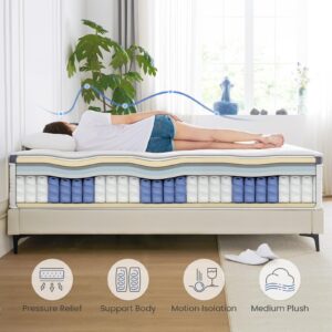 Dourxi Twin XL Mattress, 12 inch Hybrid Twin XL Size Mattress Gel Memory Foam for Pressure Relief with Waterproof Mattress Protector Included, Medium Plush