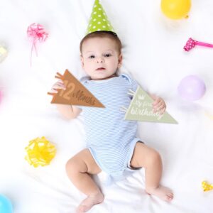 14PCS Baby Felt Pennant Milestone Signs Monthly Milestone Pennant Triangle Banner Age Milestone Flag Signs Newborn Party Supplies for Boy Girl Baby Photos and First Year Birthday Baby Shower Decor