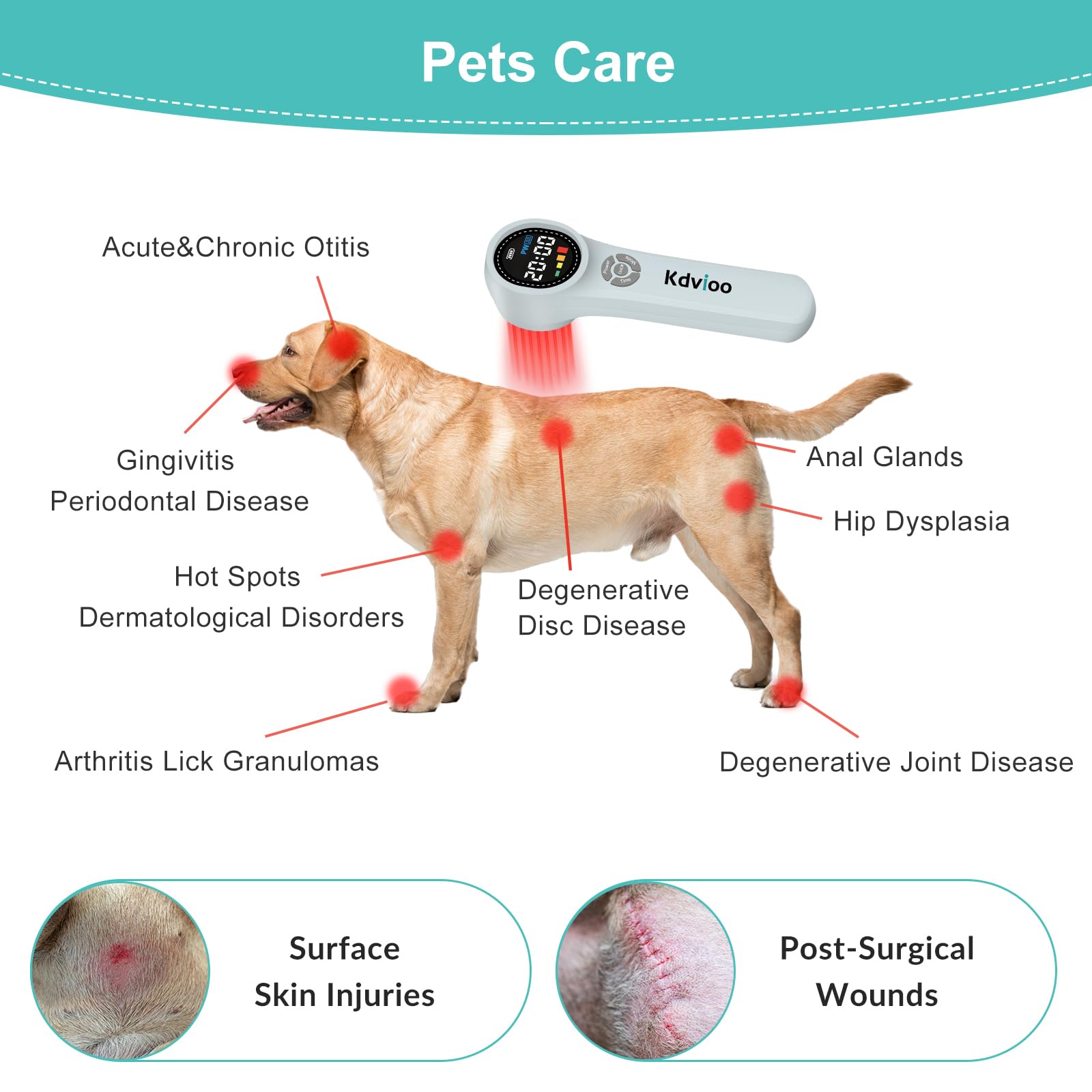 Kdvioo Cold Laser Therapy Device for Dogs,4x980nm+16x660nm+4x810nm Low Level Laser Therapy,Handheld Laser Therapy Device,Pet Laser Therapy for Dogs Cats Muscle & Joint Pain Relief,Reduce Inflammation