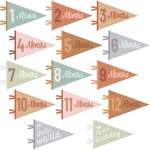 14PCS Baby Felt Pennant Milestone Signs Monthly Milestone Pennant Triangle Banner Age Milestone Flag Signs Newborn Party Supplies for Boy Girl Baby Photos and First Year Birthday Baby Shower Decor