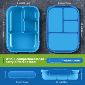 Demiue Bento Box Adult Lunch Box,Kids Child Lunch Box-Leak-Proof Bento Box with Utensil,Lunch Containers for Adults Men Women with 4 Compartments,Microwave & Dishwasher & Freezer Safe,BPA Free(Blue)