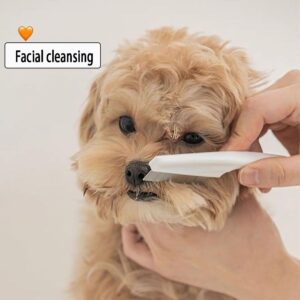 2Pack Flea Comb and Stainless steel comb Use grooming with dog and cat hair For Facial Cleaning and Grooming Flea Lice Comb