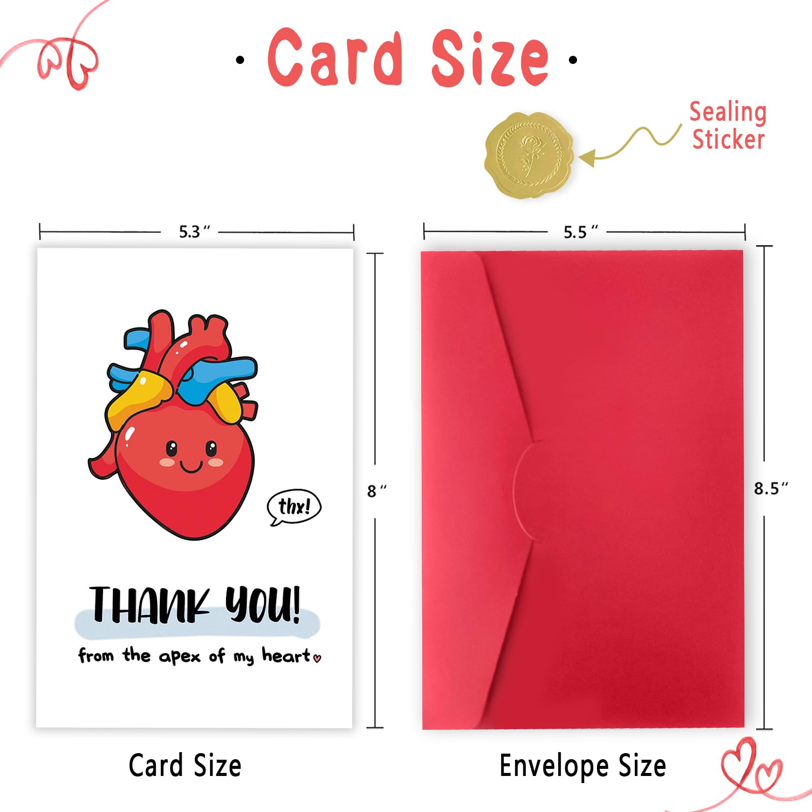 mmuue Cute Thank You Card for Heart Surgeon, Funny Thank you Gift for Women Men, Appreciation Card for Doctor Nurse Medical Staff, Thank You from the Apex of My Heart