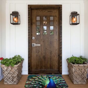 FRESQA Beautiful Peacock Print All-Season Indoor Outdoor Doormat,Multi-Functional and Stylish Home Decor