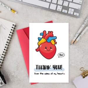 mmuue Cute Thank You Card for Heart Surgeon, Funny Thank you Gift for Women Men, Appreciation Card for Doctor Nurse Medical Staff, Thank You from the Apex of My Heart