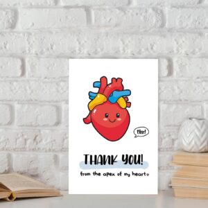 mmuue Cute Thank You Card for Heart Surgeon, Funny Thank you Gift for Women Men, Appreciation Card for Doctor Nurse Medical Staff, Thank You from the Apex of My Heart