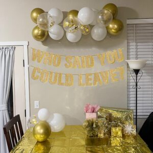 JunyRuny Who Said You Could Leave Gold Glitter Banner, Going Away, Farewell, Retirement Party Decorations, Graduation Party Decorations for Men & Women, Goodbye Party Decorations, Coworker Leaving Decorations