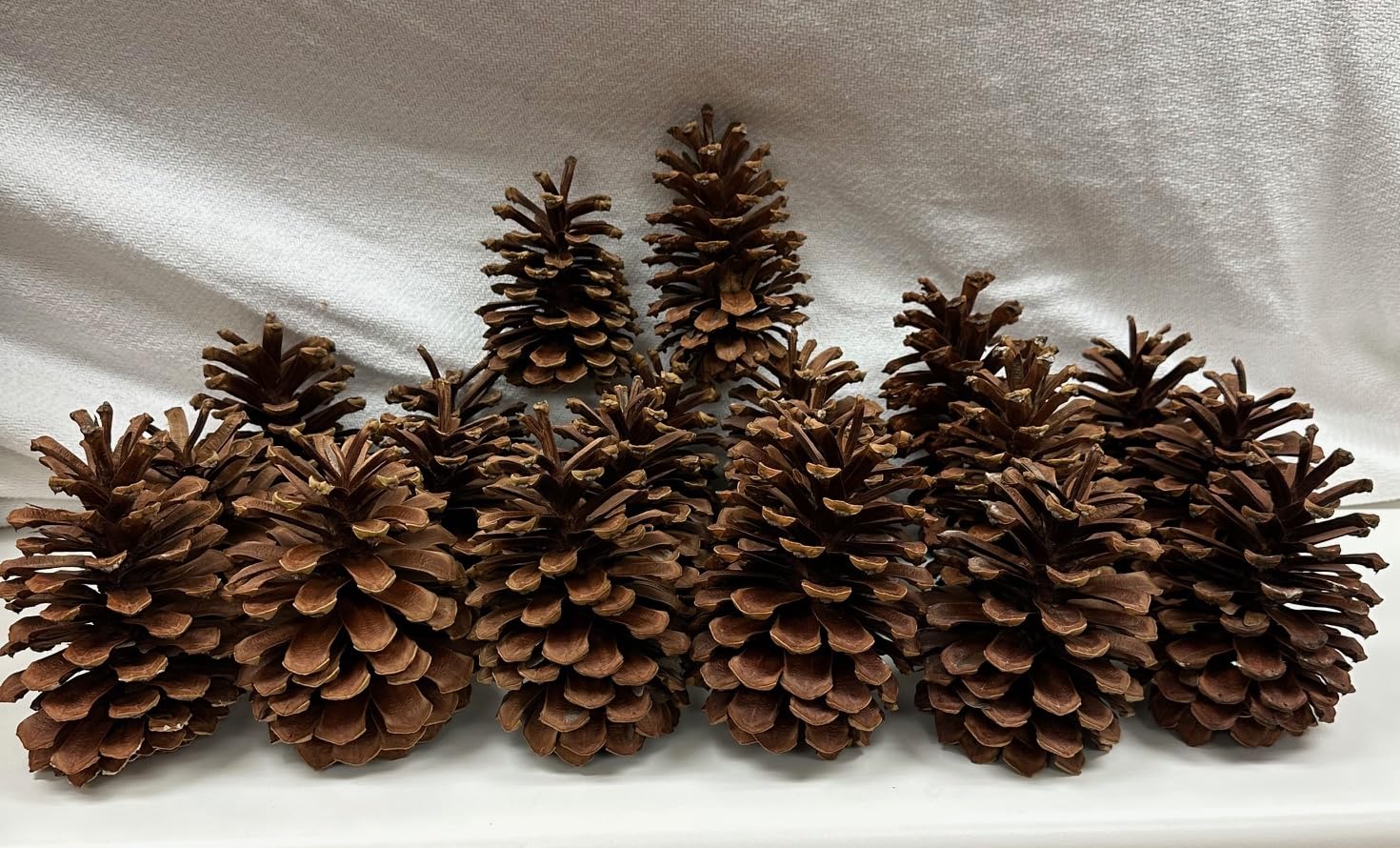 18-Pack Extra-Large (5 to 7 inch) Long Leaf Pine Cones for Decorating Home, Tables, Vase Fillers, Corporate Events, Crafts, Birdfeeders, Natural Pine Cone Holiday Ornaments. (unscented)