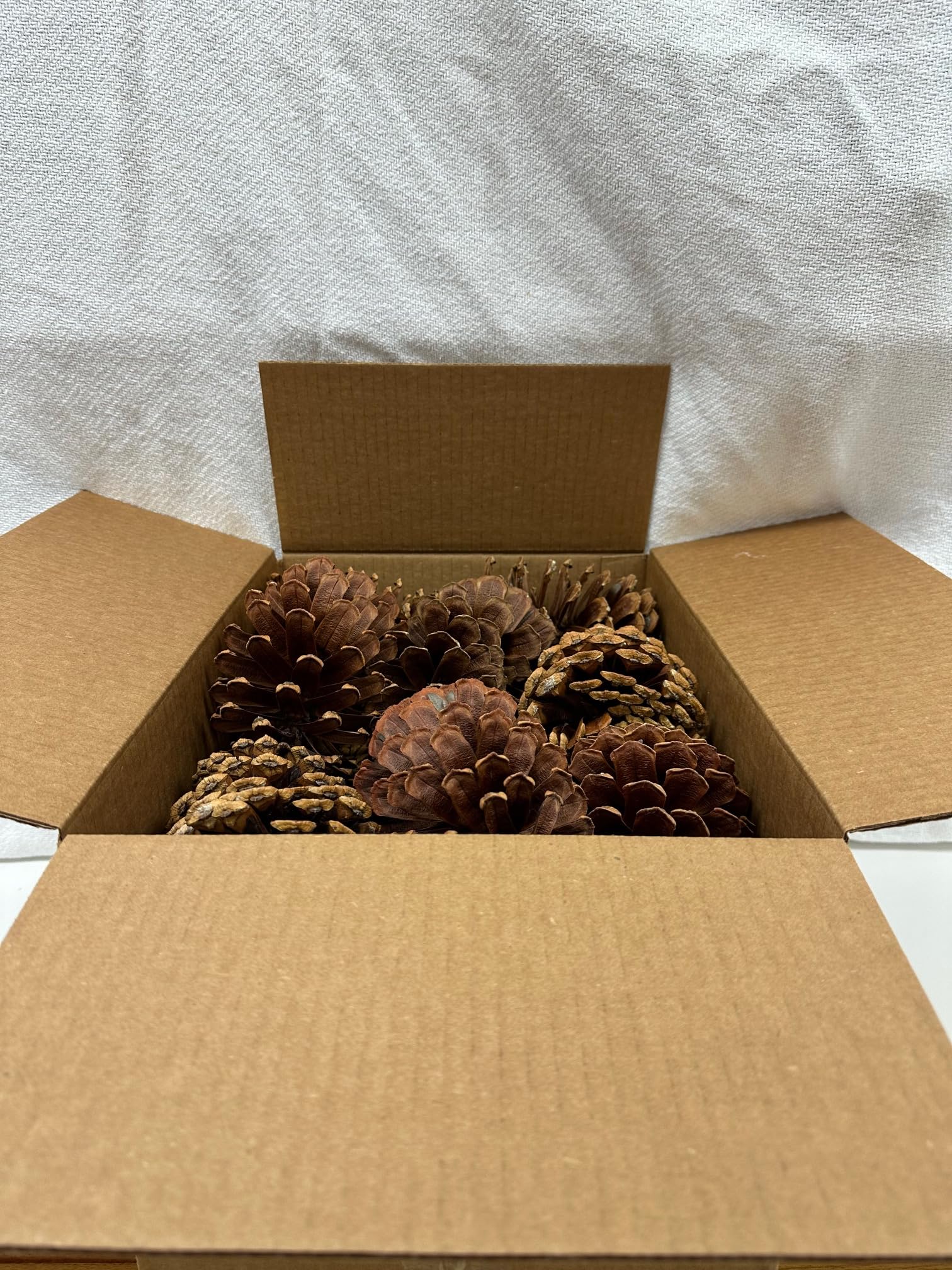 18-Pack Extra-Large (5 to 7 inch) Long Leaf Pine Cones for Decorating Home, Tables, Vase Fillers, Corporate Events, Crafts, Birdfeeders, Natural Pine Cone Holiday Ornaments. (unscented)