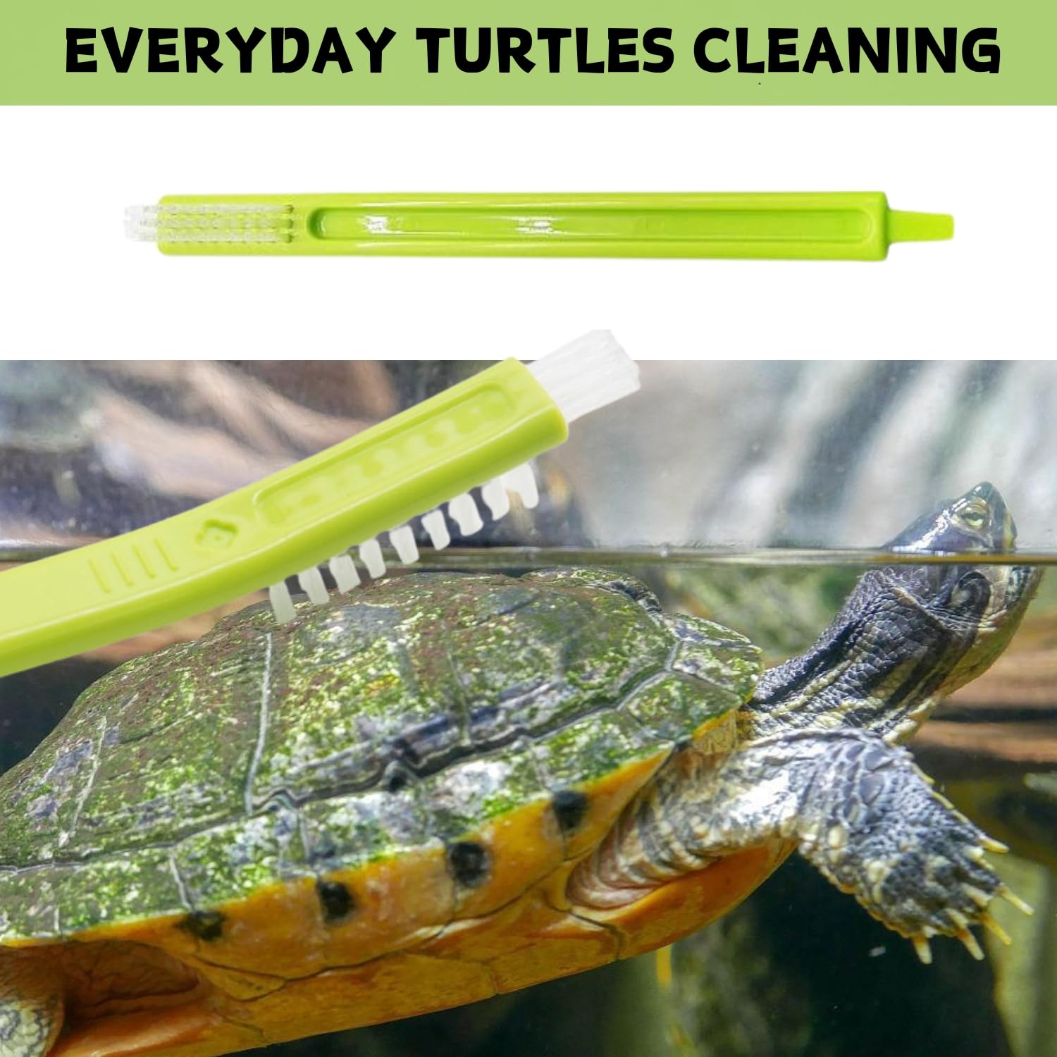 SEZDEKI 4Pcs Turtle Tortoise Cleaning Brush Remove Aquatic Mud Dirt & Contaminants from Tortoises Shells & Promoting Shell Health Turtle Tank Accessories Aquarium Cleaning Tools Kit (4 Pcs)