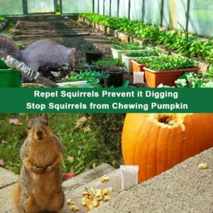 SUAVEC Squirrel Repellent, Chipmunk Repellents, Squirrel Deterrent for Garden, Keep Squirrel Away for Attic, Indoor Mint Squirrel Repellents for Plant, Repellent Squirrel for Bird Feeders-8 Pouches