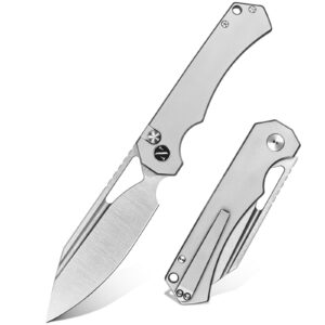 nedfoss cougar folding pocket knife, 2.98" sandvik 14c28n blade, lightweight steel handle, sharp button lock knife for edc, steel pocket clip, razor utility knife, pocket knife for men and women