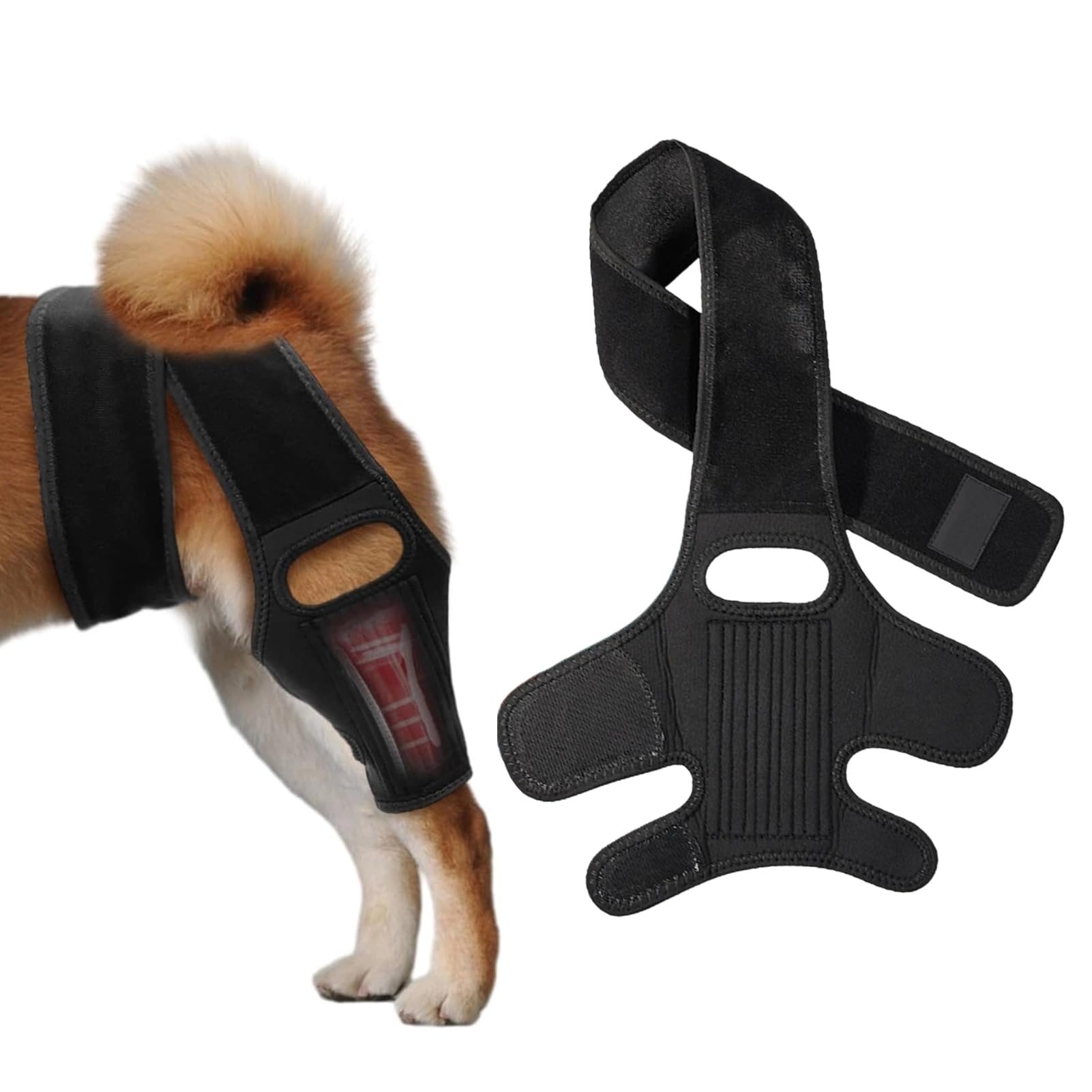 Mitoydoe Dog Hip Knee Leg Brace - Dog ACL Brace for Front Torn and Back Rear Legs ACL Tear, Dog Leg Brace for Hip Dysplasia, Dog Arthritis and Luxating Patella, Comfortable and Adjustable L