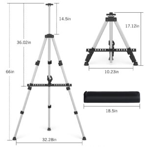 Art Painting Easel Stand - Portable Adjustable Display Artist Tripod Metal Easel with 1 Bag for Tabletop/Floor Painting, Height from 17 to 66 inches, Sturdy for Drawing, Displaying - Silver