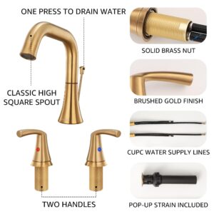 WaterSong Bathroom Sink Faucet, Brushed Gold Bathroom Faucet 3 Hole, 8 Inch Widespread Bathroom Faucet with Pop up Drain Assembly, Two Handle Vanity Faucet