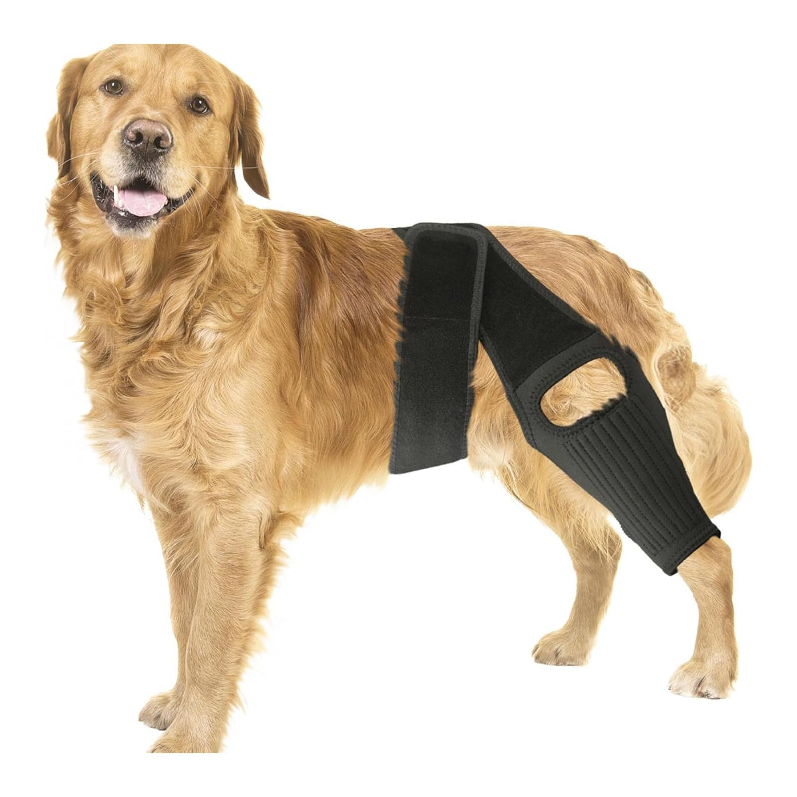 Mitoydoe Dog Hip Knee Leg Brace - Dog ACL Brace for Front Torn and Back Rear Legs ACL Tear, Dog Leg Brace for Hip Dysplasia, Dog Arthritis and Luxating Patella, Comfortable and Adjustable L