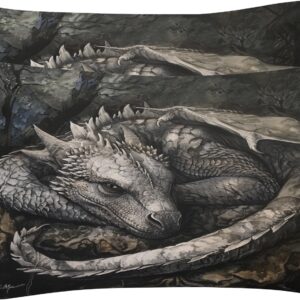 OmErsa Dragon Duvet Cover King Size Bedding Set 3 PCS, Fantasy Comforter Cover & 2 Pillowcases Soft Microfiber Patterned Bedroom Decorations for Adults Teens