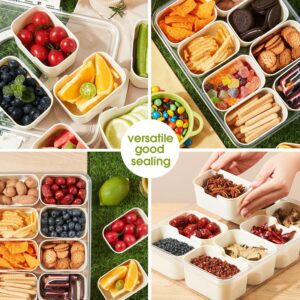 KATOCHUG Snackle Box Container Divided Serving Platters with Lid and Handle Divided Snackle Box for Portable Snack Box Container Tray Perfect for Candy Fruit and Treats