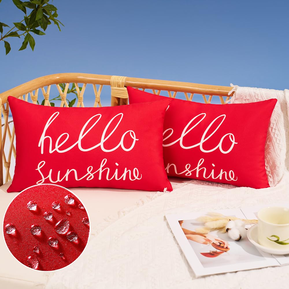 DFXSZ Outdoor Pillow Covers 12x20 Inch Set of 2 Hello Sunshine Decor Red Waterproof Throw Pillow Covers Summer Outdoor Waterproof Pillow Covers Decor for Patio Funiture Garden Sofa Couch 021A