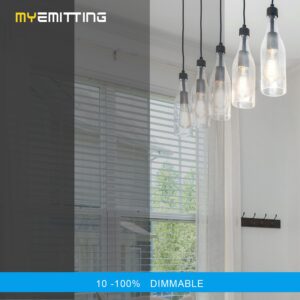 MYEMITTING Dimmable ST58 LED Edison Bulbs, 4.5W Equivalent to 40W Vintage Light Bulbs, E26 Base 4000K ST58/ST19 LED Bulbs, Antique Flexible Spiral LED Filament Light Bulbs - Clear Plastic 12Pack