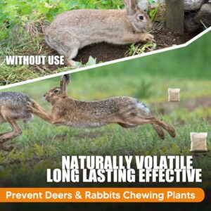 FANDISES Deer Repellent, Rabbit Repellent Outdoor, Deer and Rabbit Repellent for Plants, Powerful Rabbit Repellent for Garden, Deer Deterrent for Garden, Deer Away, Rabbit Deterrent for Yard - 8P