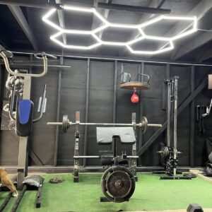 sheinhot 5 Grid Hexagon Garage Lights, Hexagon LED Lights, 22000LM Hexagon Lights LED Garage Lights for Garage Workshop Basement Gym Warehouse, 6500K