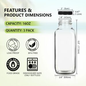 LEVGSAK 3 Pack 16 oz Glass Juice Bottles with Lids,Reusable Glass Drinking Bottles,Clear Water Bottles Drinking Jars for Juicing,Smoothies,Water,Milk,Kombucha Storage,Wellness