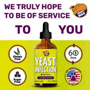 Dog Allergy Relief | Dog Ear Infection Treatment | Yeast Infection Treatment for Dogs | Reduces Irritation & Inflammation | Itchy Ear Relief for Dogs | Beef Flavor | 1 Oz