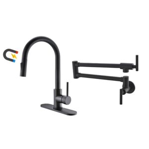 havin black kitchen faucet with pull down magnetic sprayer with black pot filler faucet