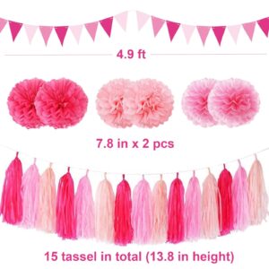 Cmaone Hotpink Party Decorations Pink Girls Paper Fan Birthday Baby Shower Tissue Pom Poms Streamers Bachelorette Party Supplies Tassel Garland Banner Wedding Decor