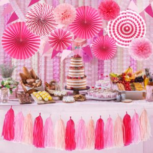 Cmaone Hotpink Party Decorations Pink Girls Paper Fan Birthday Baby Shower Tissue Pom Poms Streamers Bachelorette Party Supplies Tassel Garland Banner Wedding Decor