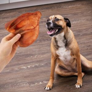 Ol's Roys Natural Jumbo Pig Ear Natural Chews for Dogs, Non-Ttoxic Pork Hide, 10 Count, 12 oz (2, Pork)