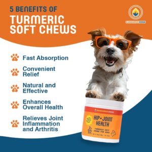 Kangaroo Dogs Hip + Joint Health Turmeric Soft Chews - Dog Supplement Made with Organic Turmeric - Supports Mobility, Immune System, Heart Health, May Reduce Joint Pain & Inflammation - 35 Treats