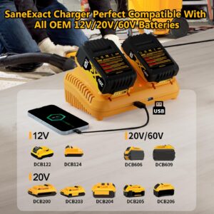 20V 6.0Ah Replacement Battery Charging Combo Kit for Dewalt, Includes 2PC 20V Max Batteries and 2-Ports Charger, Compatible with Dewalt All 20V Power Tools, Charger Fit All 12V/20V/60V OEM Batteries