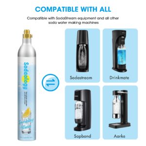 Sodaology 60L Co2 Carbonator Compatible with Sodastream Appliances [NOT FOR ART & TERRA],14.5oz, Set of 1