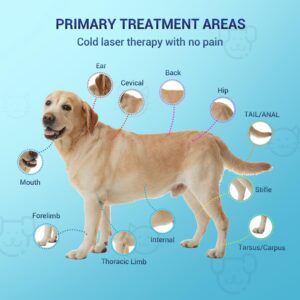 Mibest Cold Laser Therapy Device for Vet - Red Light Therapy for Dogs and Cats - Infrared Light Therapy Targets Joint and Muscles - Pain Relief, Arthritis, Spinal, Wound Healing (4x808nm + 12x650nm)