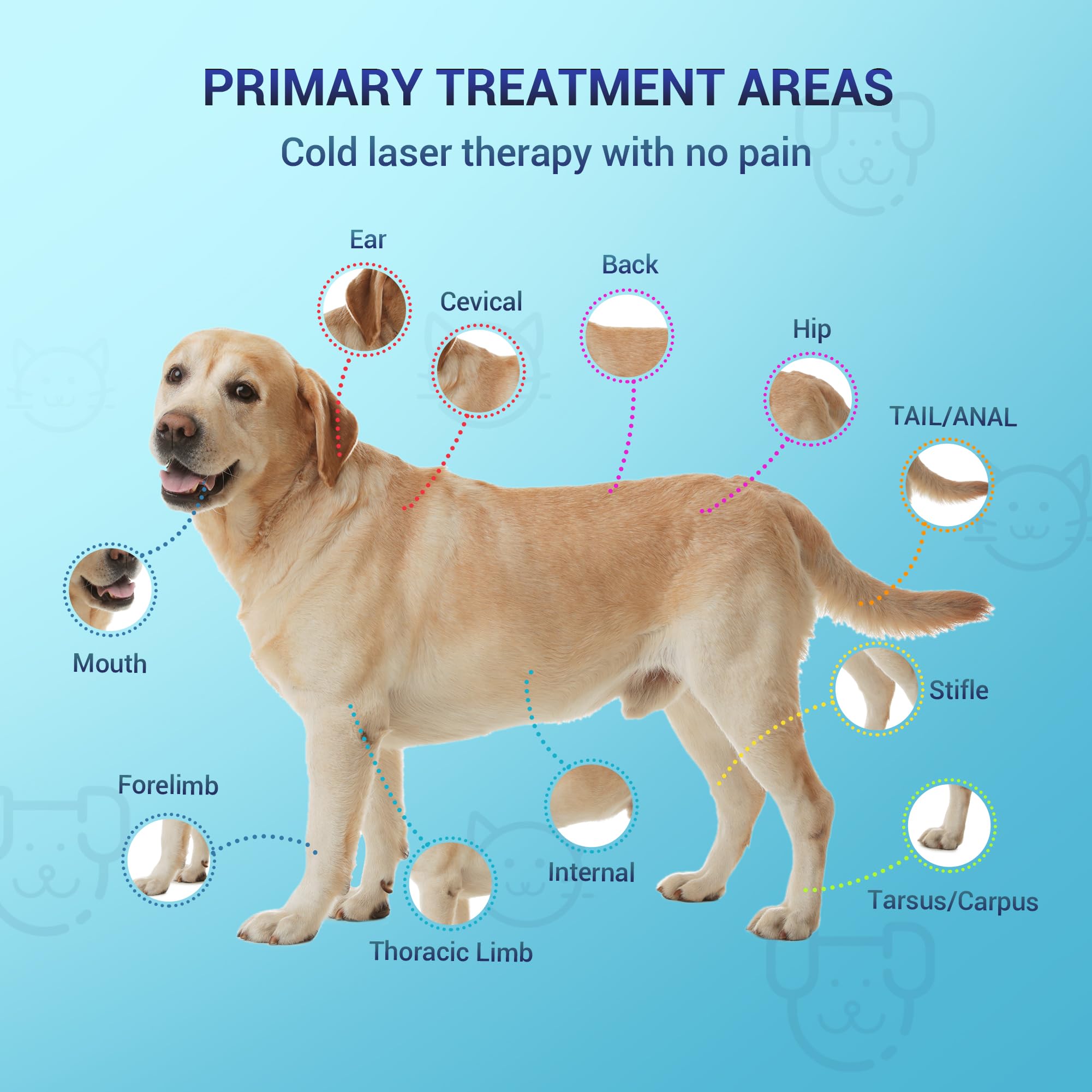 Mibest Cold Laser Therapy Device for Vet - Red Light Therapy for Dogs and Cats - Infrared Light Therapy Targets Joint and Muscles - Pain Relief, Arthritis, Spinal, Wound Healing (4x808nm + 12x650nm)