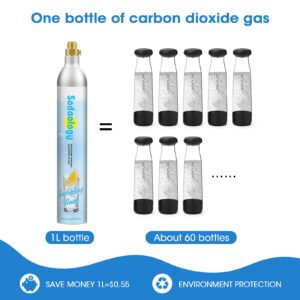 Sodaology 60L Co2 Carbonator Compatible with Sodastream Appliances [NOT FOR ART & TERRA],14.5oz, Set of 1