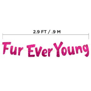 Furever Young Pink Glitter Banner – Dog Birthday Banner – Cat Birthday Decorations – Funny Puppy and Kitten Birthday Party Supplies and Gifts