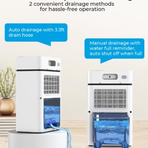 Dehumidifier, PLUSCENT 1000 Sq. Ft. Dehumidifiers for Home, 88 OZ Dehumidifier for Basement Bedroom Bathroom RV and Closet with Drain Hose, Auto Defrost, Auto Shut Off, Sleep Mode, 7 Colors LED Light