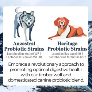 OTIS Digestive Health for Dogs | Ancestral and Heritage Probiotics - Intestinal Gut Health Support with DHA and EPA | Healthy Dog Supplements | 8 fl oz