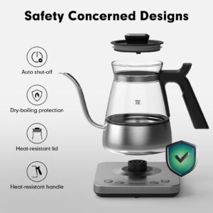 Electric Gooseneck Glass Kettle with Temperature Control, 1200W Rapid Boiling Electric Kettle for Pour-Over Tea Coffee, LCD Display, 1H Keep Warm, 0.8L, Silver