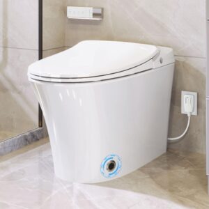 Beleda Luxury Smart Toilet with Dryer and warm water, Elongated Bidet Toilet with Heated Seat, with Remote Control, LED Night Light, Power Outage Flushing, Soft Close Cover