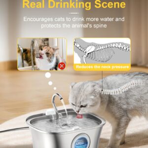 Stainless Steel Cat Water Fountain, 108oz/3.2L Automatic Pet Fountain Dog Water Dispenser & Pet Water Bowl Cat Drinking Water Fountain with Ultra-Quiet Pump for Cat Feeding & Watering Supplies