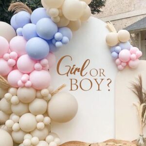 cieqr girl or boy gender reveal sign decal - baby shower party decal sign, baby shower decorations for party, balloon arch, backdrop, room...…