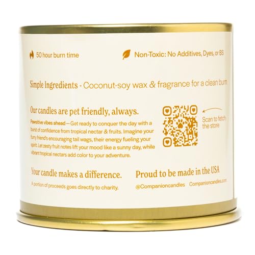 Companion Candles Pet Safe Wood Wick Candle - “You Got This!” Citrus & Tropical Fruits, Coconut Soy Wax Scented, Over 50 Hr Burn Time, Non-Toxic, Women-Owned, Made in USA (11.8 oz.)